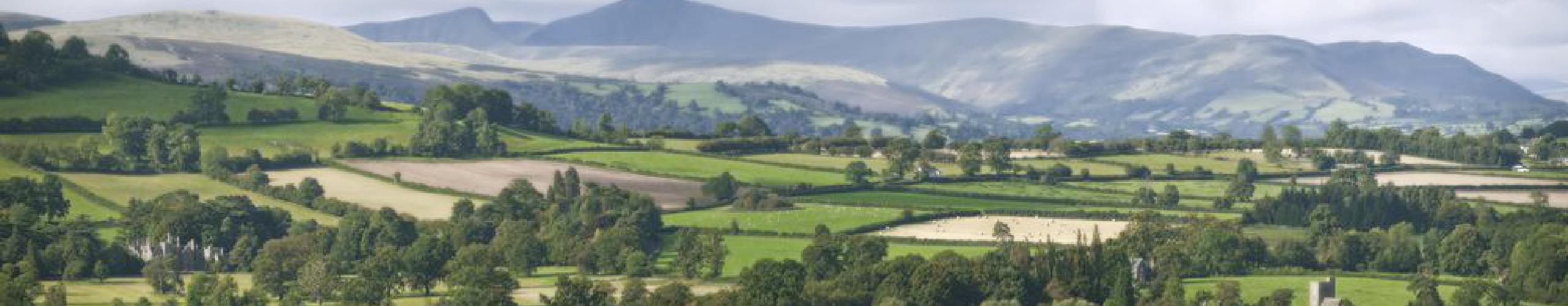 Powys - Home (Welsh)